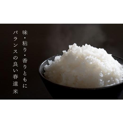 ふるさと納税 米 高知県 大月町 大月町産 ブランド米 春遠米(ヒノヒカリ) 5kg : ふるさとチョイス - 通販 - Yahoo!ショッピング