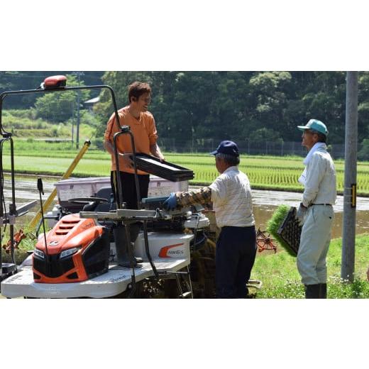 ふるさと納税 米 高知県 大月町 大月町産 ブランド米 春遠米(ヒノヒカリ) 5kg : ふるさとチョイス - 通販 - Yahoo!ショッピング