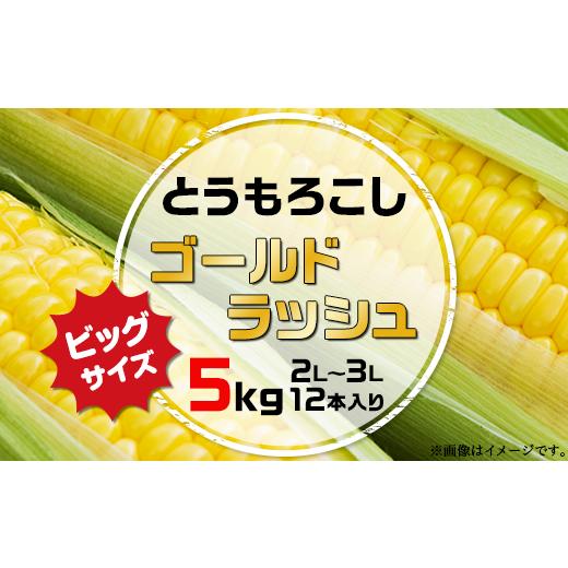 ふるさと納税 2401とうもろこし「ゴールドラッシュ」5kg（2L〜3L 12本入り） : 5500189 : ふるさとチョイス - 通販 - Yahoo!ショッピング