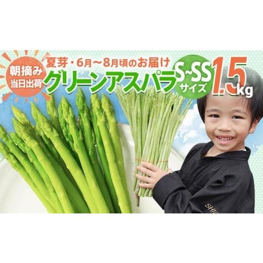 ふるさと納税 野菜類 アスパラガス 福岡県 大木町 夏芽 S〜SS 1.5kg 6月から8月お届け BT09 : ふるさとチョイス - 通販 - Yahoo!ショッピング