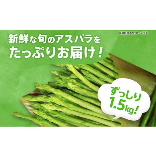 ふるさと納税 福岡県 大木町 数量限定 アスパラ S〜SS サイズ 1.5kg 朝採り 直送 夏芽 グリーンアスパラガス 朝採れ 先行予約 【2024年6月から8月お届け】 BT0 ...