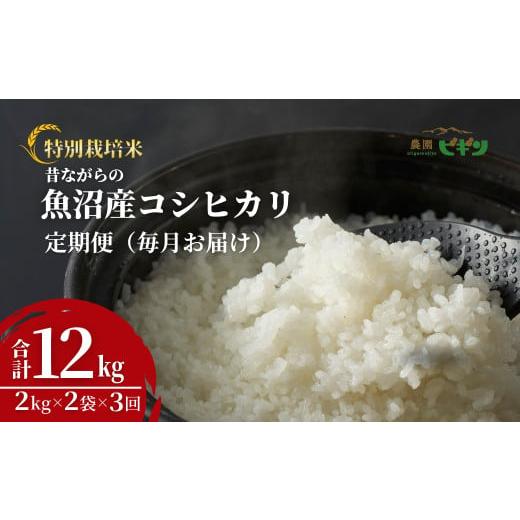 ふるさと納税 米 コシヒカリ 新潟県 小千谷市 N36P484 令和6年産 定期便 昔ながらの魚沼産コシヒカリ2kg2袋×3回（3ヶ月連続お届け）（毎月お届け） 従来品種 ...