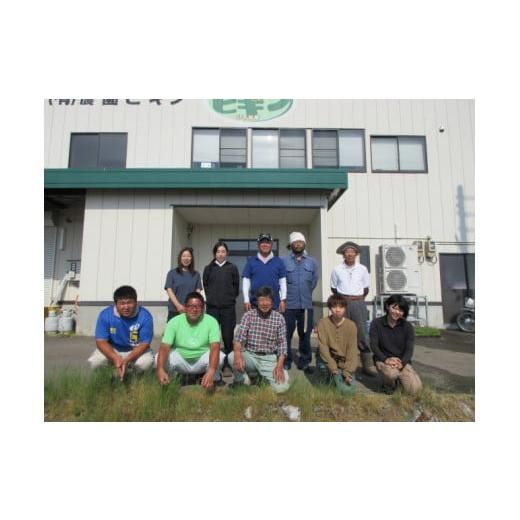 ふるさと納税 米 コシヒカリ 新潟県 小千谷市 N36P484 令和6年産 定期便 昔ながらの魚沼産コシヒカリ2kg2袋×3回（3ヶ月連続お届け）（毎月お届け） 従来品種 ...