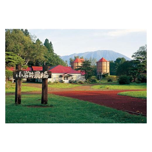 ふるさと納税 小岩井農場 アイスクリーム 6個セット ／ 2種類 食べ比べ アイス ギフト 贈答用 : 5536369 : ふるさとチョイス ...