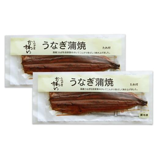 ふるさと納税 うなぎ 和歌山県 有田市 数量限定 超特大サイズ国産うなぎ蒲焼き2本セット （230〜249g×2本）(A632-2) : ふるさとチョイス - 通販 - Yahoo!ショッピング