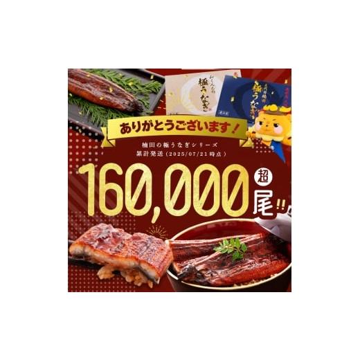 ふるさと納税 うなぎ 鹿児島県 志布志市 楠田の極うなぎ 蒲焼き 170g以上×5尾(計850g以上) c7-004 通常配送 入金確認後翌月末までに配送 : ふるさとチョイス - 通販 ...