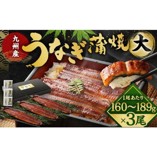 ふるさと納税 九州産 うなぎ 蒲焼 大 3尾 (1尾あたり160〜189g) : 5547623 : ふるさとチョイス - 通販 - Yahoo!ショッピング