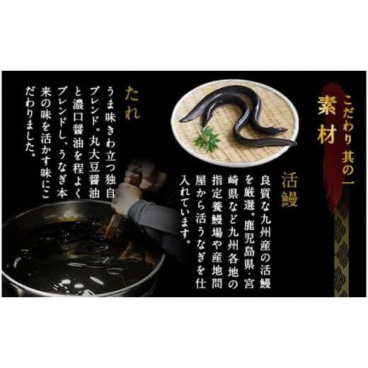 ふるさと納税 九州産 うなぎ 蒲焼 大 3尾 (1尾あたり160〜189g) : 5547623 : ふるさとチョイス - 通販 - Yahoo!ショッピング