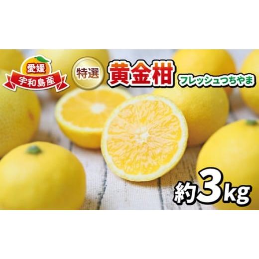 ふるさと納税 果物類 みかん 愛媛県 宇和島市 高級柑橘 黄金柑 3kg 先行予約 フレッシュつちやま 幻のみかん 希少 おうごんかん 贈答品 ...