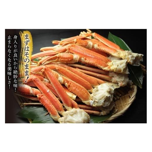 ふるさと納税 カニ ずわいガニ 宮城県 気仙沼市 ボイル済み 本ずわいがに 脚 3L〜4L 総重量 2kg カネダイ 20564764 蟹 ズワイガニ ずわ… : ふるさとチョイス - 通販 ...