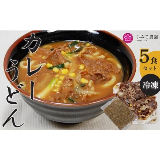 ふるさと納税 うどん 和歌山県 有田川町 冷凍 カレーうどん5食 : 5579178 : ふるさとチョイス - 通販 - Yahoo!ショッピング