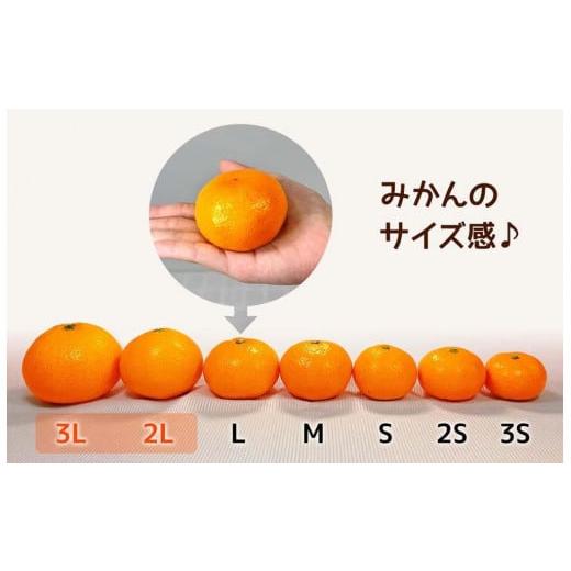 ふるさと納税 果物類 みかん 和歌山県 有田川町 大玉 どっこいしょ 箱込 5kg ( 内容量約 4.4kg ) 2Lサイズ以上 秀品 優品 混合 有田みかん 和歌山県産 … : ふるさと ...