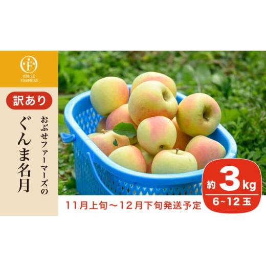 ふるさと納税 りんご 長野県 小布施町 訳あり ぐんま名月 約3kg 6〜12玉 [おぶせファーマーズ] 不揃い 規格外 家庭用 果物 フルーツ リンゴ 林檎 長… : ふるさとチョイス ...