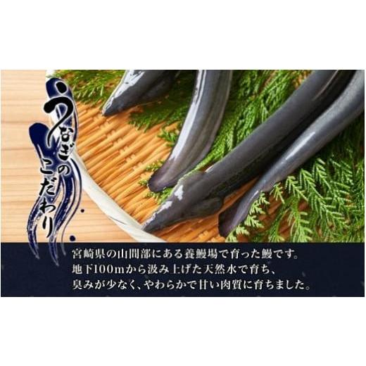 ふるさと納税 うなぎ 愛知県 名古屋市 名古屋 うなぎのしら河 国産 鰻 ひつまぶし倶楽部1人前 蒲焼き 120g 国産 うなぎ 名物 櫃 ...
