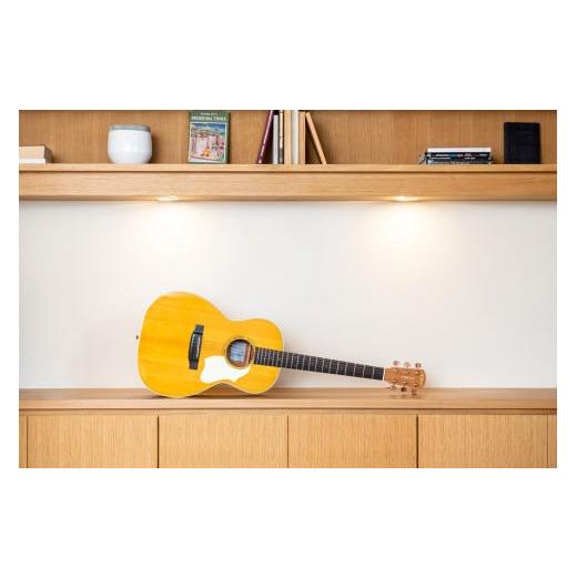 ふるさと納税 楽器 ギター・ベースギター 岐阜県 美濃加茂市 レビューキャンペーン対象商品 アコースティックギター K.Yairi ...