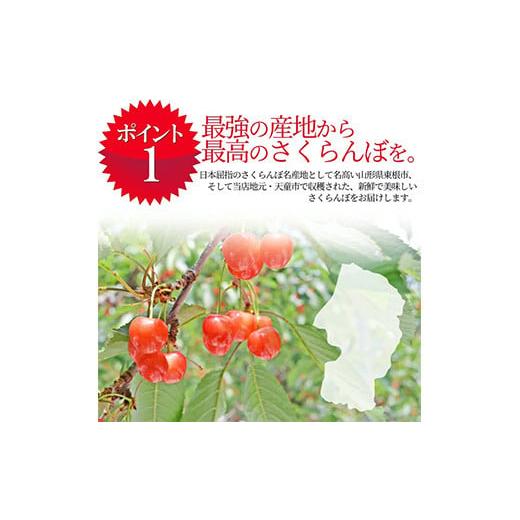 ふるさと納税 果物類 さくらんぼ 山形県 - 《先行予約 令和7年6月下旬発送》山形県産さくらんぼ紅秀峰 秀品 2L玉 500gパック 化粧箱入り FSY-0008 : ふるさとチョイス ...