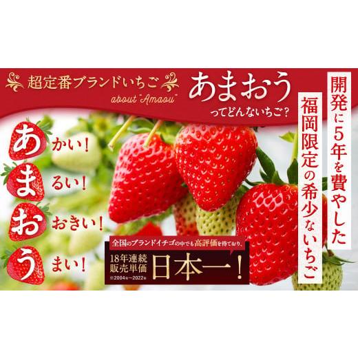 ふるさと納税 いちご 福岡県 岡垣町 予約受付 特別栽培 あまおう 1,200g 大粒 不揃い 選べる大容量あまおう （2L,グランデ,DX デラックス）減農薬 … : ふるさとチョイス ...