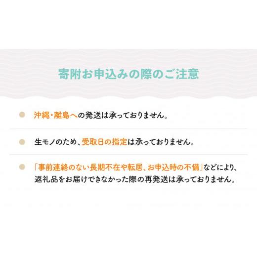 ふるさと納税 果物類 さくらんぼ 山形県 大石田町 佐藤錦 特秀2Lサイズ プレゼント ギフト 化粧箱入 300g 2026年産 令和8年産 山形県産 ふるさと納… : ふるさとチョイス ...