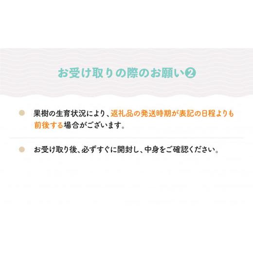 ふるさと納税 果物類 さくらんぼ 山形県 大石田町 佐藤錦 特秀2Lサイズ プレゼント ギフト 化粧箱入 300g 2026年産 令和8年産 山形県産 ふるさと納… : ふるさとチョイス ...