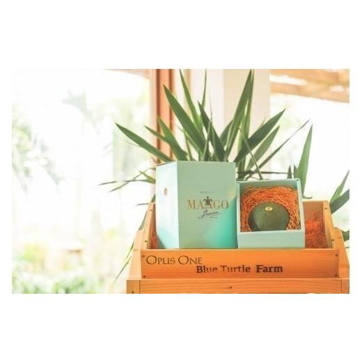 ふるさと納税 沖縄県 宮古島市 2024年発送【ブルータートルファーム】宮古島キーツマンゴー 【贈答】 大1玉 :5632260:ふるさと ...