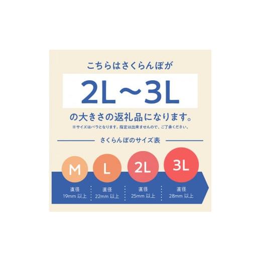 ふるさと納税 果物類 さくらんぼ 山梨県 北杜市 2L〜3L 先行予約 約700g 毎日農業記録賞 全国最優秀賞 受賞 完熟大玉バラ 紅秀峰 佐藤錦 やまなし … : ふるさとチョイス ...