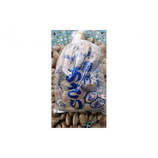 ふるさと納税 魚貝類 あさり 北海道 厚岸町 漁師から直で仕入れ 厚岸産の大きなあさり 1kg No.5863-0833 : ふるさとチョイス - 通販 - Yahoo!ショッピング