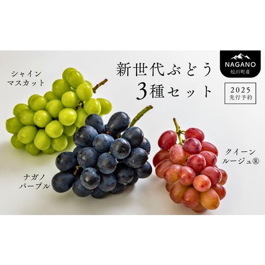 ふるさと納税 ぶどう マスカット 長野県 松川町 TK05-25A 先行予約 ぶどうプレミアムスリー（ナガノパープル／クイーンルージュ?／シャインマスカット）約1.5k… : 5667134 ...