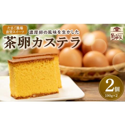 ふるさと納税 高知県 四万十町 たまご農場直営スイーツ！こだわり卵のカステラ 2個セット(190g×2個) Gbn-A19 デザート 贈答 ...