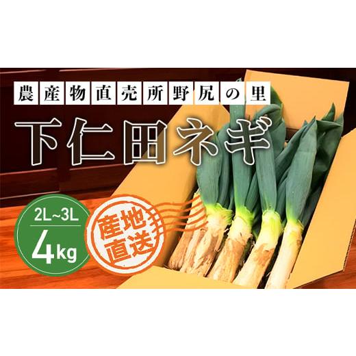 ふるさと納税 野菜類 ねぎ 群馬県 安中市 先行予約 下仁田ネギ2L〜3Lサイズ 4kg 数量限定 ANAR001 ／ 下仁田ネギ ネギ ねぎ 葱 産地直送 しもにたねぎ し ...