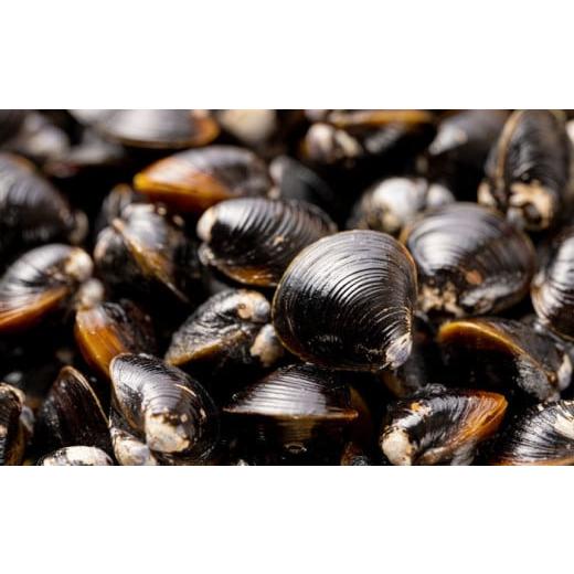 ふるさと納税 魚貝類 しじみ 島根県 松江市 宍道湖産冷凍大和しじみ (L)200g×6袋 島根県松江市／平野缶詰有限会社 ALBZ013 ...