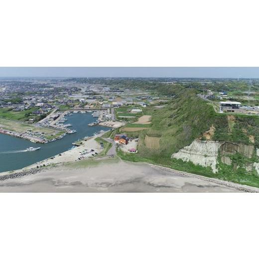 ふるさと納税 豚肉 ロース 千葉県 旭市 千葉県産銘柄「いも豚」ロース切身100g×8枚 1377779 : 5700601 : ふるさと ...