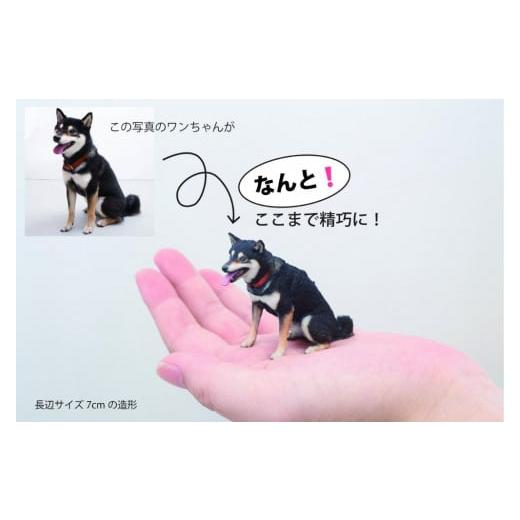 ふるさと納税 東京都 中野区 ペットの3Dスキャンと3Dフルカラープリントによる造形（フィギュア）長辺7cm :5705808:ふるさと ...