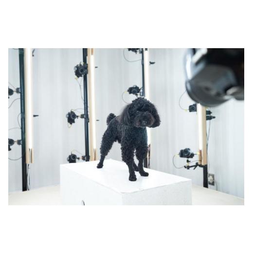 ふるさと納税 東京都 中野区 ペットの3Dスキャンと3Dフルカラープリントによる造形（フィギュア）長辺7cm :5705808:ふるさと ...