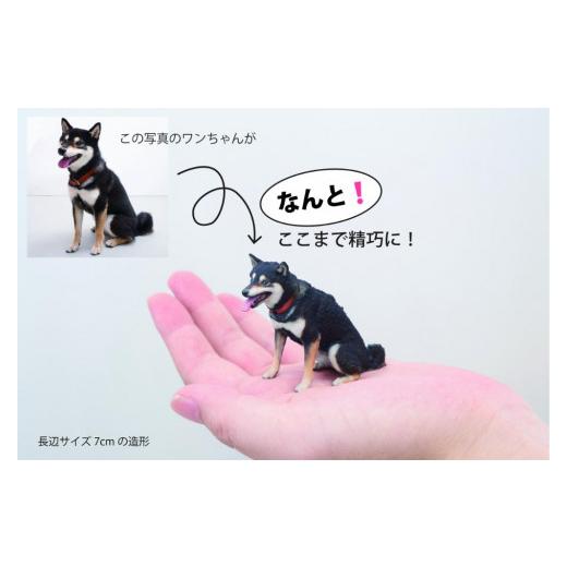 ふるさと納税 東京都 中野区 ペットの3Dスキャンと3Dフルカラープリントによる造形（フィギュア）長辺10cm :5705809:ふるさと ...