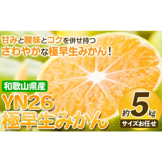 ふるさと納税 果物類 みかん 和歌山県 日高川町 YN26 極早生 約 5kg（2S〜Mサイズおまかせ）《2025年9月中旬-11月中旬頃出荷》和歌山県 フル… : ふるさとチョイス - 通販 ...