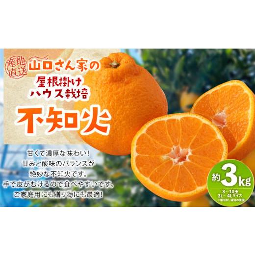 ふるさと納税 みかん・柑橘類 熊本県 宇城市 先行受付 屋根掛けハウス栽培 山口さん家の不知火 約3kg 8〜10玉 3L〜4L 2025年1月上旬から2月上旬発送予定 柑橘 ...
