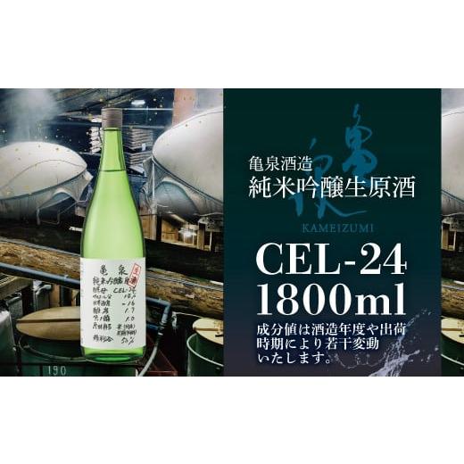 ふるさと納税 日本酒 純米吟醸酒 高知県 土佐市 純米吟醸原酒 CEL-24 1800ml (生酒) 2本セット お酒 酒 さけ 日本酒 純米吟醸 一升瓶 1.8リットル 原酒 度数 1 ...