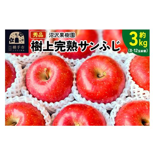 ふるさと納税 りんご 秋田県 横手市 贈り物にもおすすめ サンフジ 秀品 約3kg（8〜12玉前後） : ふるさとチョイス - 通販 - Yahoo!ショッピング