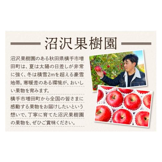 ふるさと納税 りんご 秋田県 横手市 贈り物にもおすすめ サンフジ 秀品 約3kg（8〜12玉前後） : ふるさとチョイス - 通販 - Yahoo!ショッピング