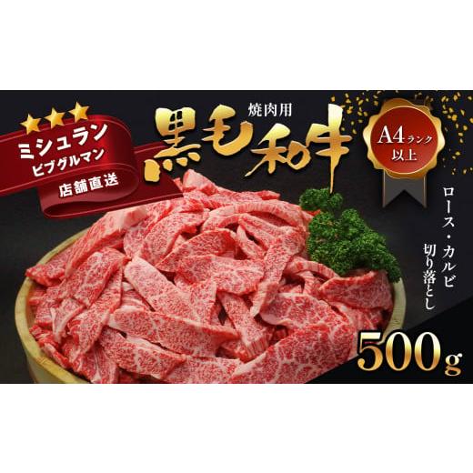 ふるさと納税 牛肉 焼肉・バーベキュー 熊本県 苓北町 黒毛和牛 焼肉用 ロース カルビ 切り落とし 500g A4〜A5ランク | 肉 にく 人気 焼肉 すき焼き ミシュラ ...