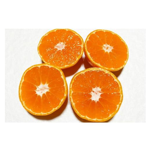 ふるさと納税 果物類 みかん 和歌山県 湯浅町 AT6006n_ 先行予約 ご家庭用 和歌山 有田みかん 約10kg (2L、3Lサイズ) 湯浅町 : 5784591 : ふるさとチョイス ...