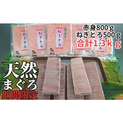 ふるさと納税 マグロ 神奈川県 三浦市 B16-008 三崎の天然まぐろ赤身800g・ねぎとろ100g×5パック（500g）セット（期間限定） : ふるさとチョイス - 通販 - Yahoo ...