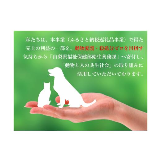 ふるさと納税 ＜2024年発送＞笛吹市産 厳選！桃[2kg]（5〜8玉入）フルーツ大国！山梨県笛吹市より産地直送 209-001 OUTTA REACH JAPAN :5793205:ふるさと ...