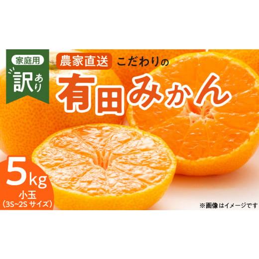 ふるさと納税 果物類 みかん 和歌山県 湯浅町 ZT6232n_こだわりの 有田みかん 小玉 5kg (2S〜3Sサイズ) 訳あり 家庭用 : 5800113 : ふるさとチョイス - 通販 ...