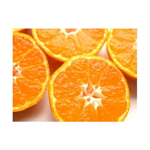 ふるさと納税 果物類 みかん 和歌山県 湯浅町 ZT6232n_こだわりの 有田みかん 小玉 5kg (2S〜3Sサイズ) 訳あり 家庭用 : 5800113 : ふるさとチョイス - 通販 ...