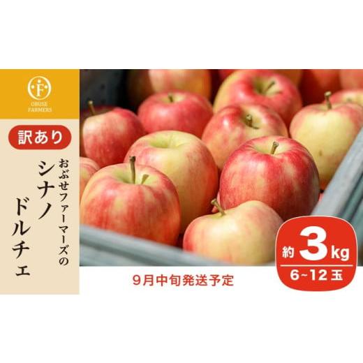 ふるさと納税 りんご 長野県 小布施町 訳あり シナノドルチェ 約3kg 6〜12玉 [ おぶせファーマーズ ] 数量限定 期間限定 果物類 林檎 リンゴ 規格外… : ふるさとチョイス ...