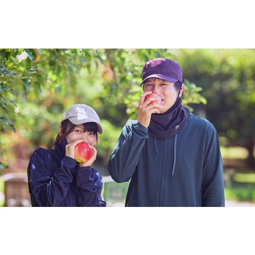 ふるさと納税 りんご 長野県 小布施町 訳あり シナノドルチェ 約3kg 6〜12玉 [ おぶせファーマーズ ] 数量限定 期間限定 果物類 林檎 リンゴ 規格外… : ふるさとチョイス ...