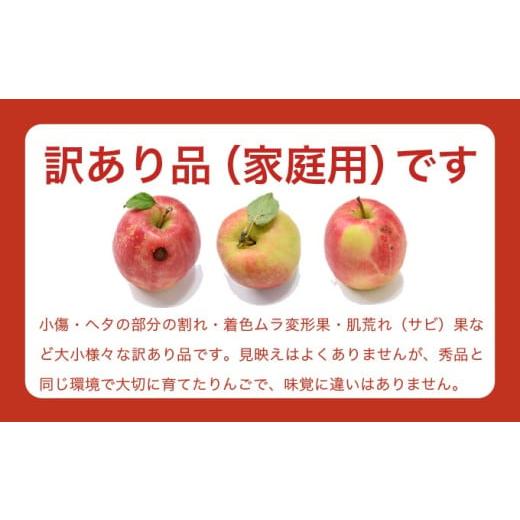 ふるさと納税 りんご 長野県 小布施町 訳あり シナノドルチェ 約3kg 6〜12玉 [ おぶせファーマーズ ] 数量限定 期間限定 果物類 林檎 リンゴ 規格外… : ふるさとチョイス ...
