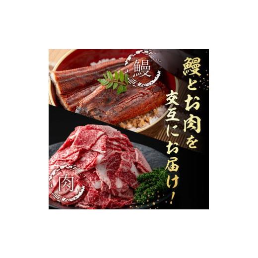 ふるさと納税 惣菜・レトルト 冷凍 鹿児島県 志布志市 定期便全6回 鰻と肉の贅沢定期便 鰻とお肉が交互に届くお楽しみ便 定期便 牛肉 ステーキ 鰻 豚肉 t0106… : ふるさとチョイス ...