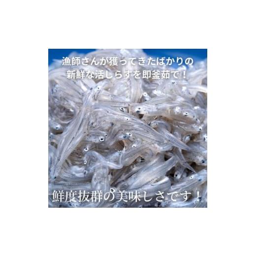 ふるさと納税 魚貝類 しらす 愛知県 南知多町 篠島 高級 釜揚げ しらす干し 700g(70g×10袋) CAS冷凍 小分け しらす シラス 釜揚げしらす しらす干し シラス丼 ...